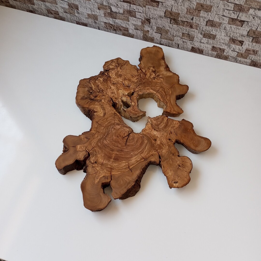 26-20 Inch Live Edge Olive Root Slices.olive Tree Root Slice.raw ...