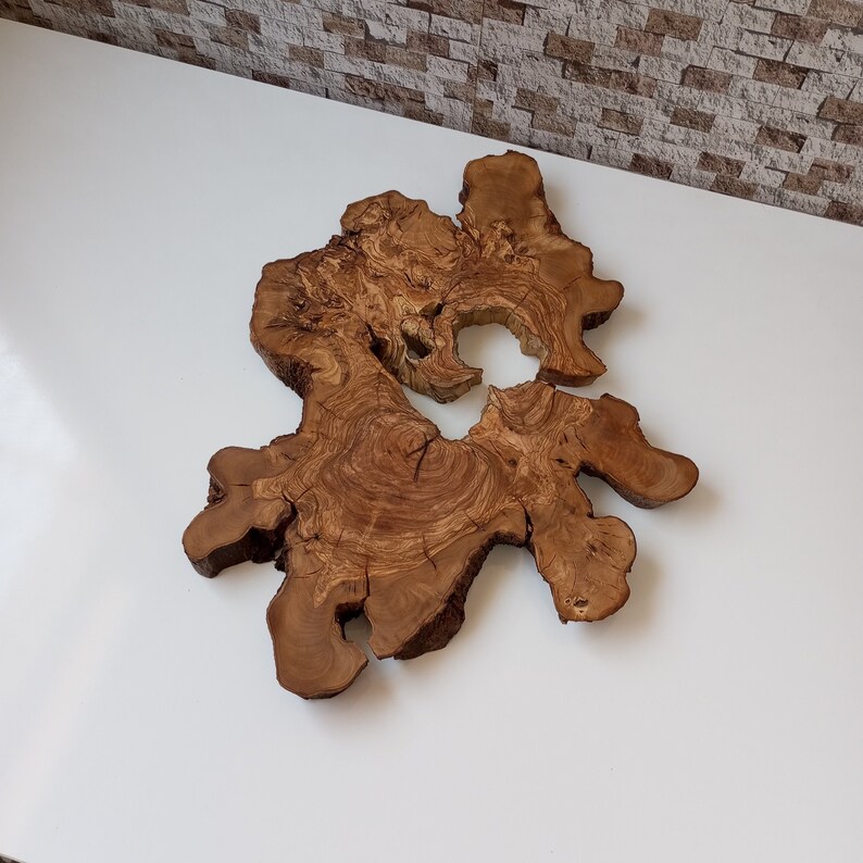26-20 Inch Live Edge Olive Root Slices.olive Tree Root Slice.raw ...