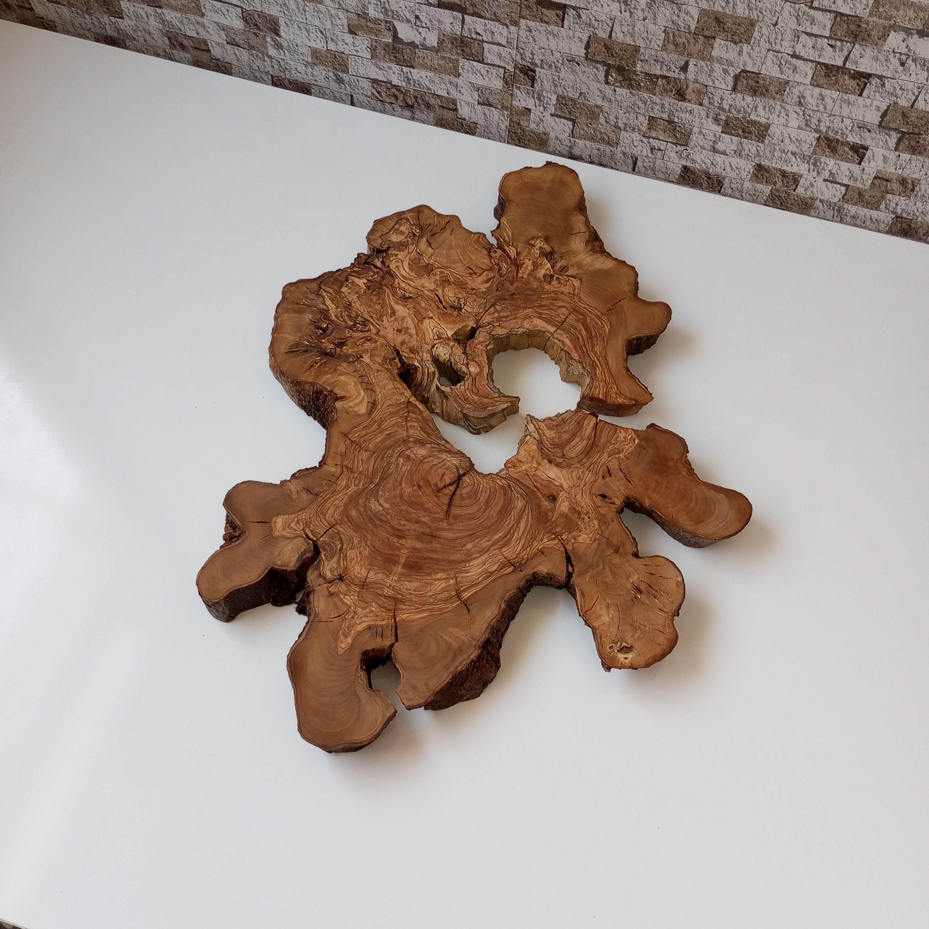 26-20 Inch Live Edge Olive Root Slices.olive Tree Root Slice.raw ...