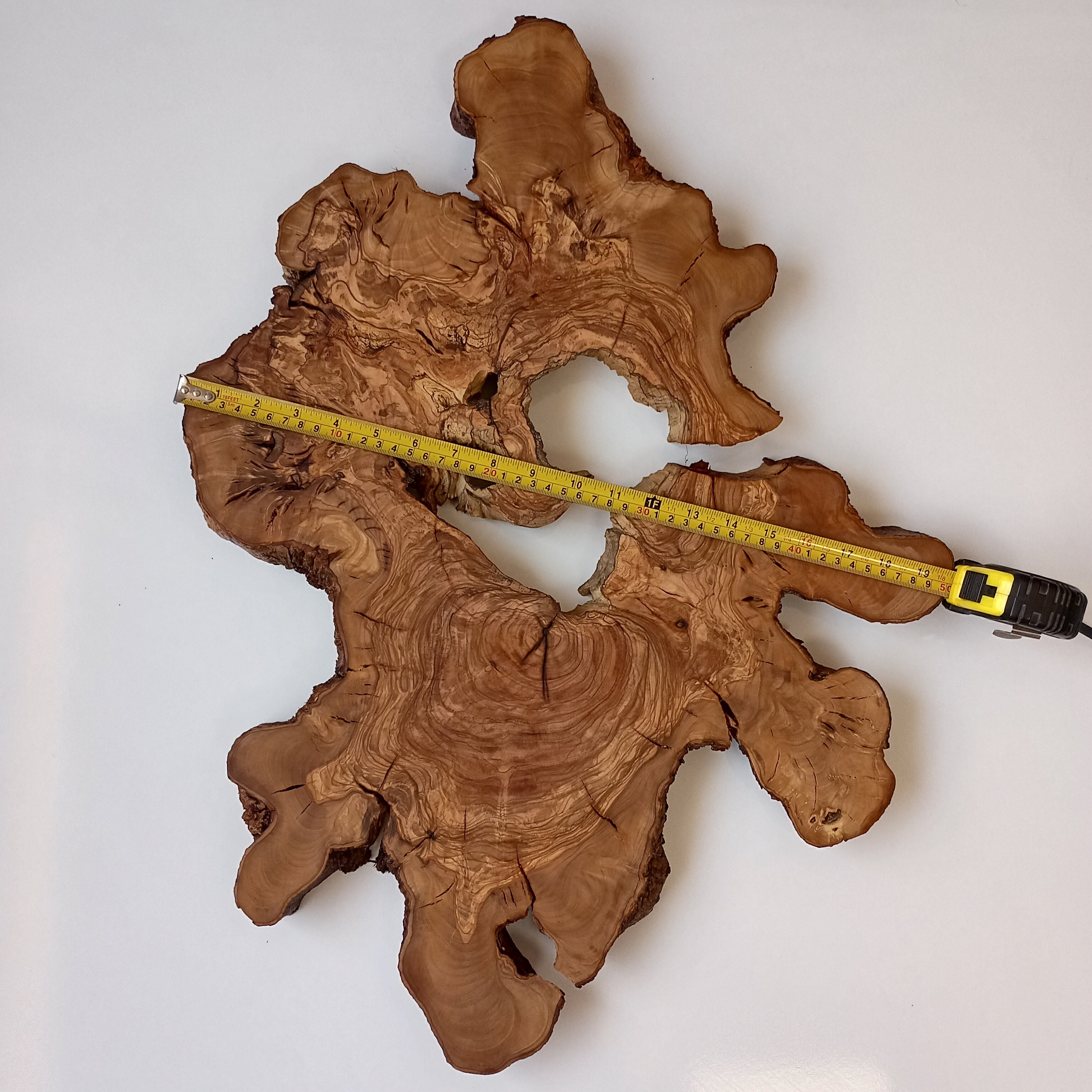 26-20 Inch Live Edge Olive Root Slices.olive Tree Root Slice.raw ...