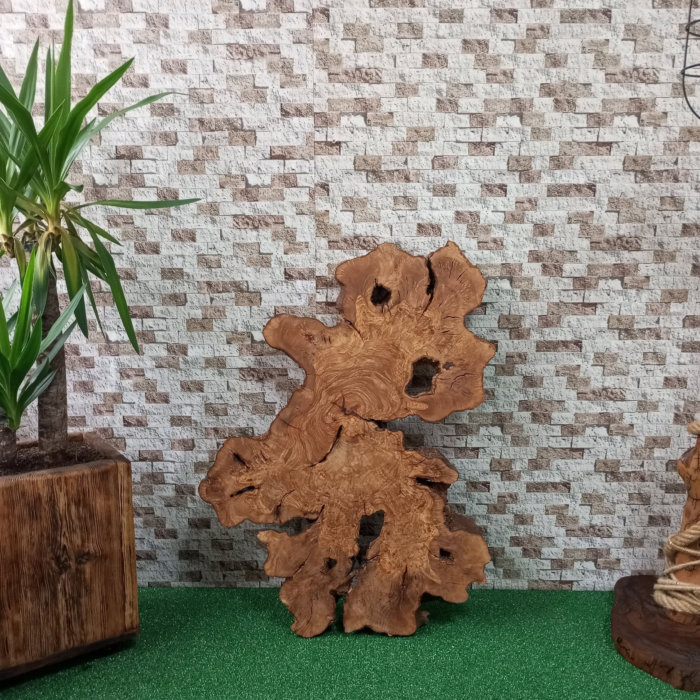 Olive Root Slice,live Edge Slice,olive Slices,olive Wood Slice,live ...