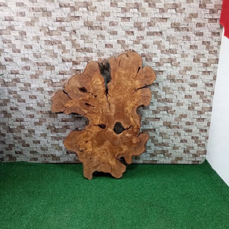 Big Size OLIVE Wood,live Edge Wood,olive Tree Slice,olive Wood,live ...