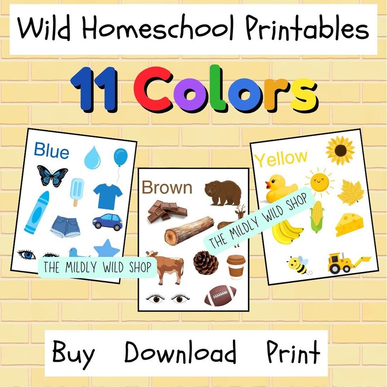 Basic Colors Printables Digital Download of 11 Colors for Preschoolers ...
