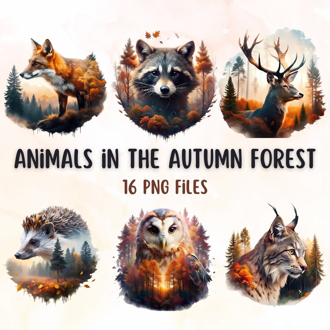 Woodland Animals Clipart Bundle. Woodland Animals Png to Create Posters ...