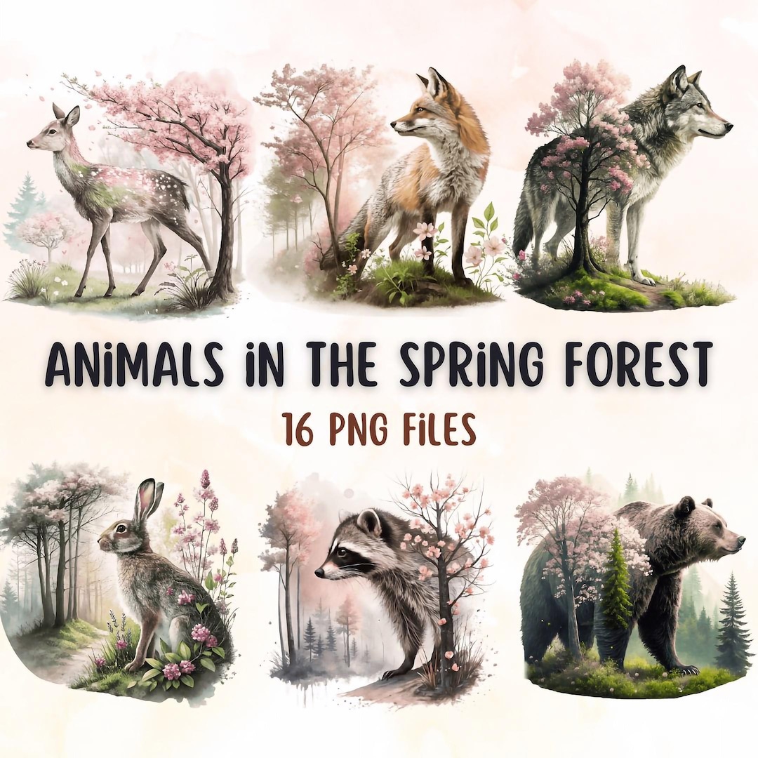 Set of Clipart Animals in Spring Forest, Forest Animals Png, Wild ...