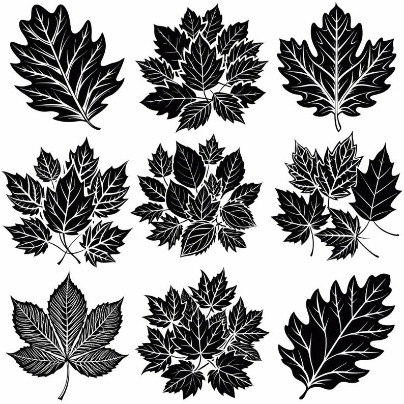 Autumn Leaves Clipart Set. Autumn Leaves Svg and Png to Create Posters ...