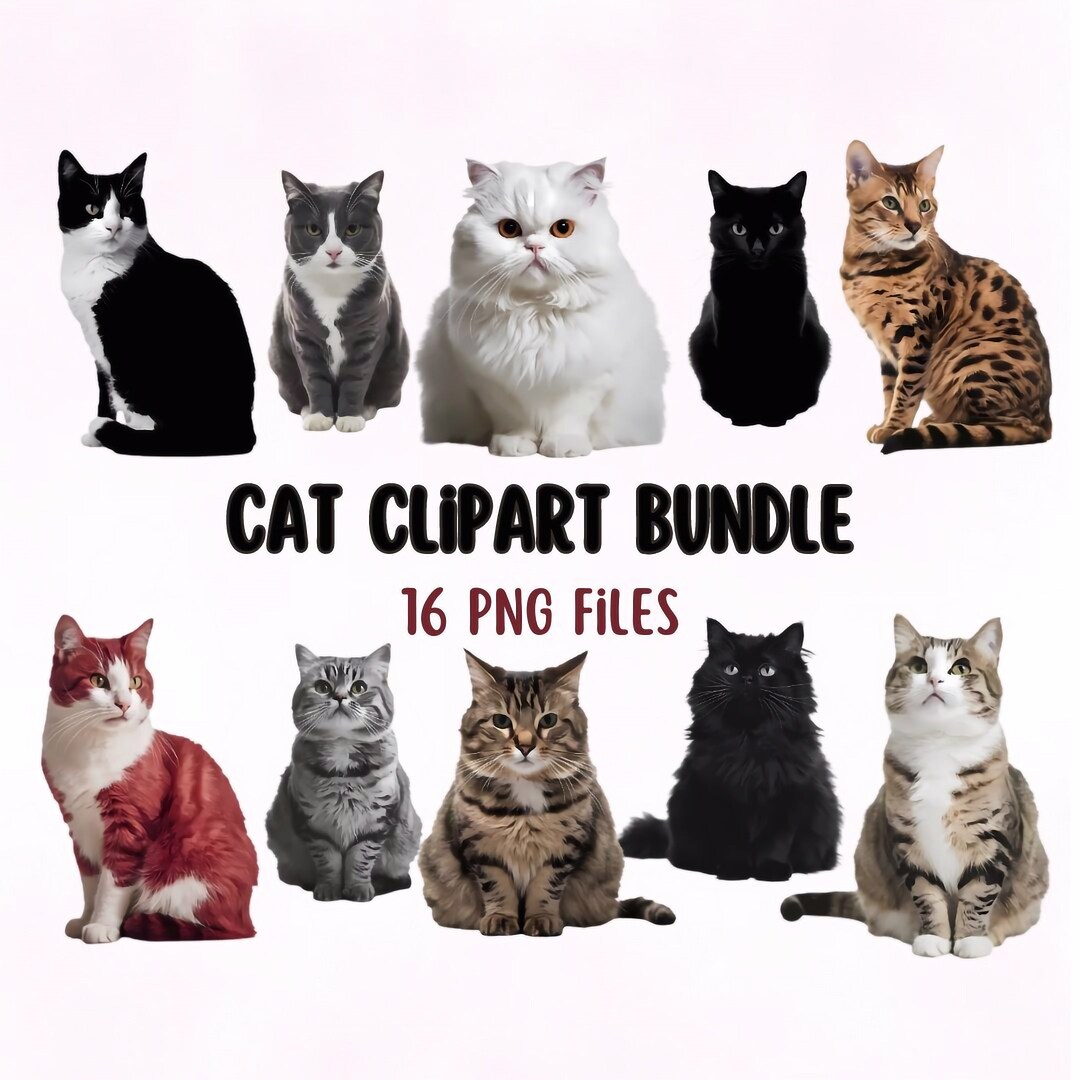Cat Breeds Clipart Bundle,set of 16 Cats Png on Transparent Background ...