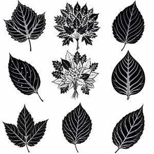 Autumn Leaves Clipart Set. Autumn Leaves Svg and Png to Create Posters ...