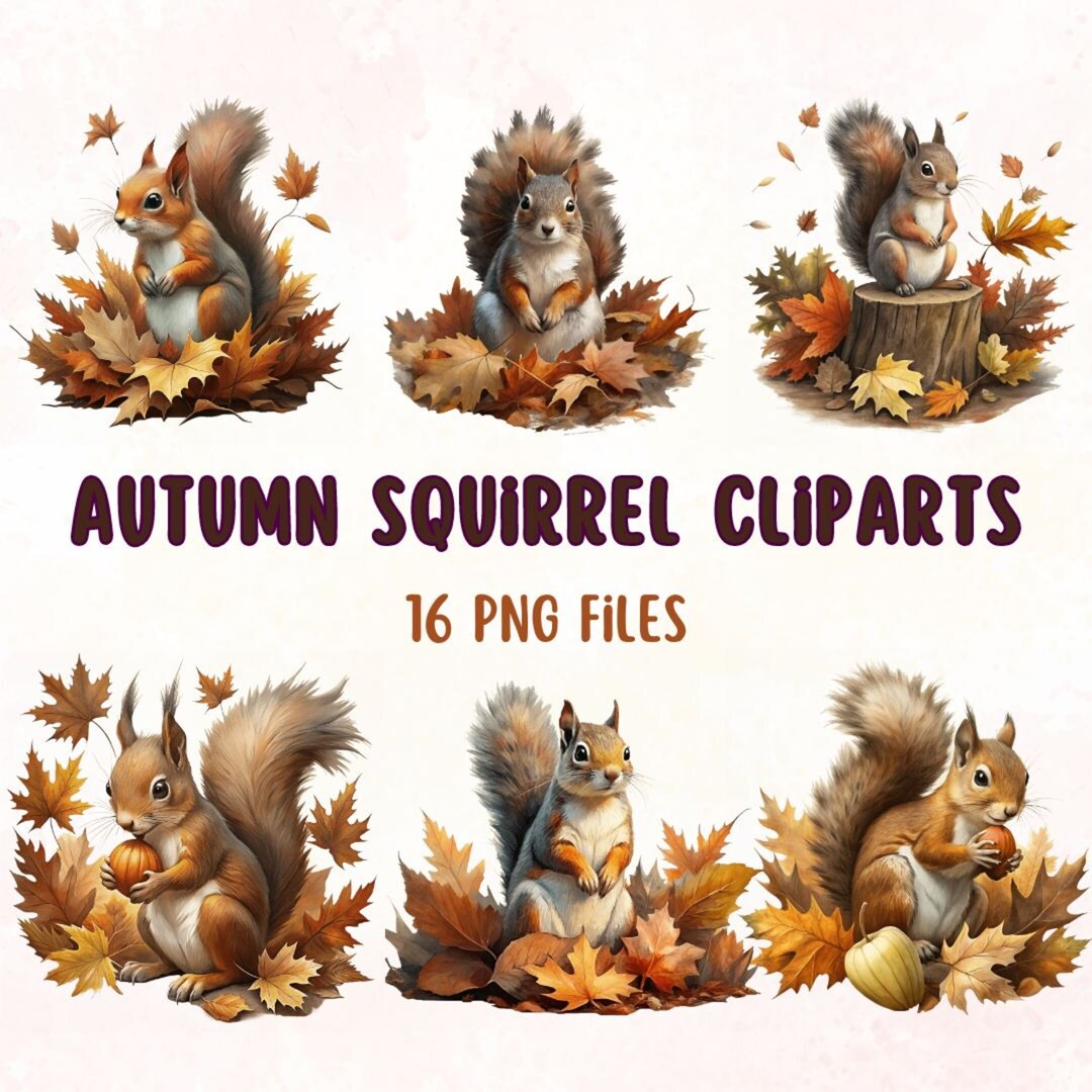 Autumn Squirrel” Clipart Bundle, 16 Png Squirrels on Transparent ...
