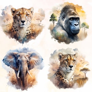 Safari Animals Clipart Bundle.african Animals Png to Create Posters ...