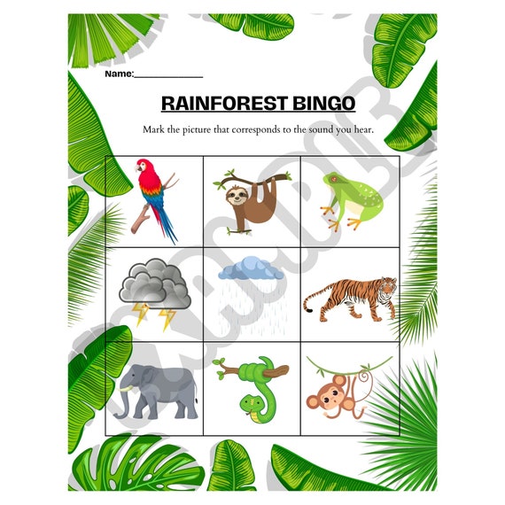Rainforest Worksheets For Preschool