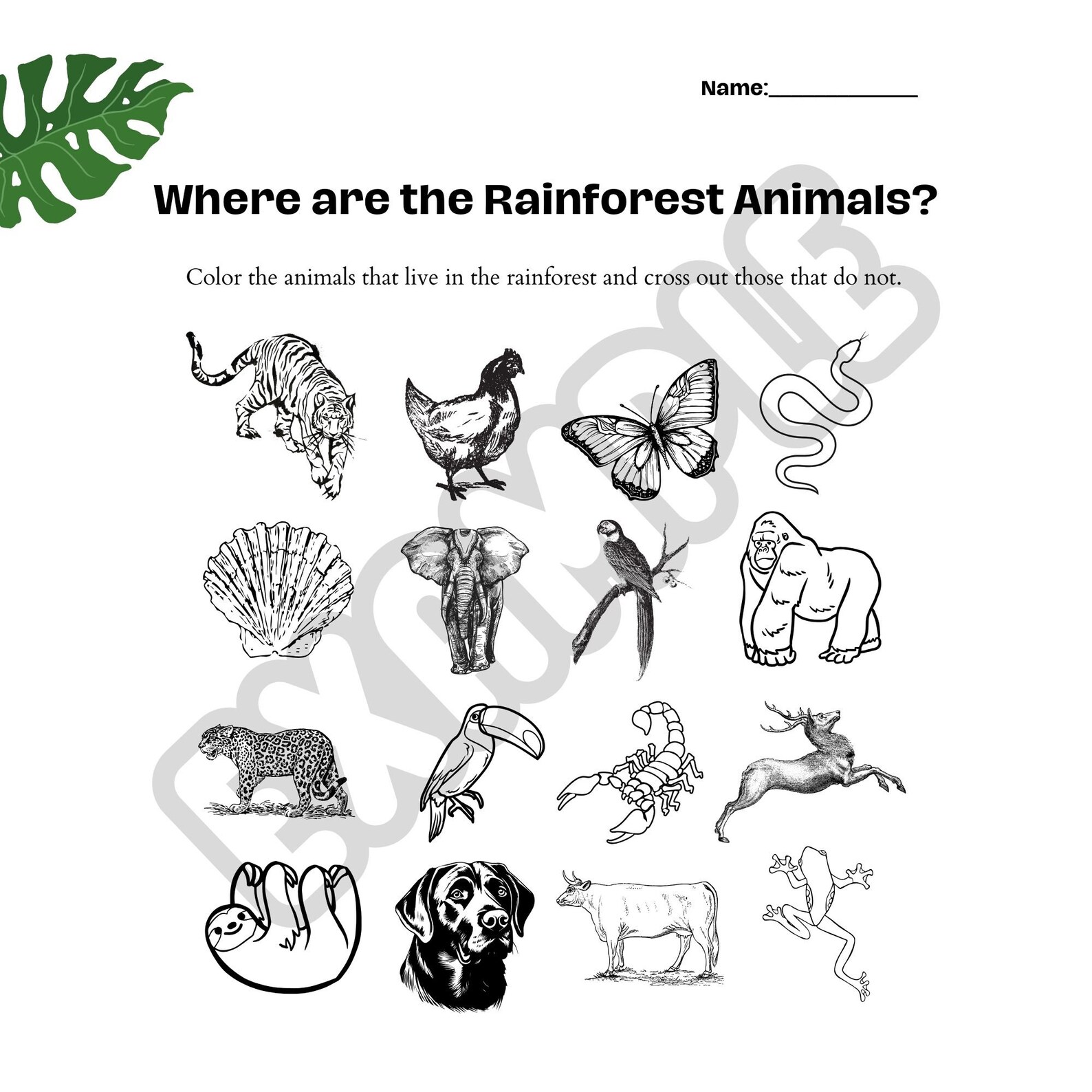 Rainforest Curriculum Printable Worksheets for Preschool, Prek ...