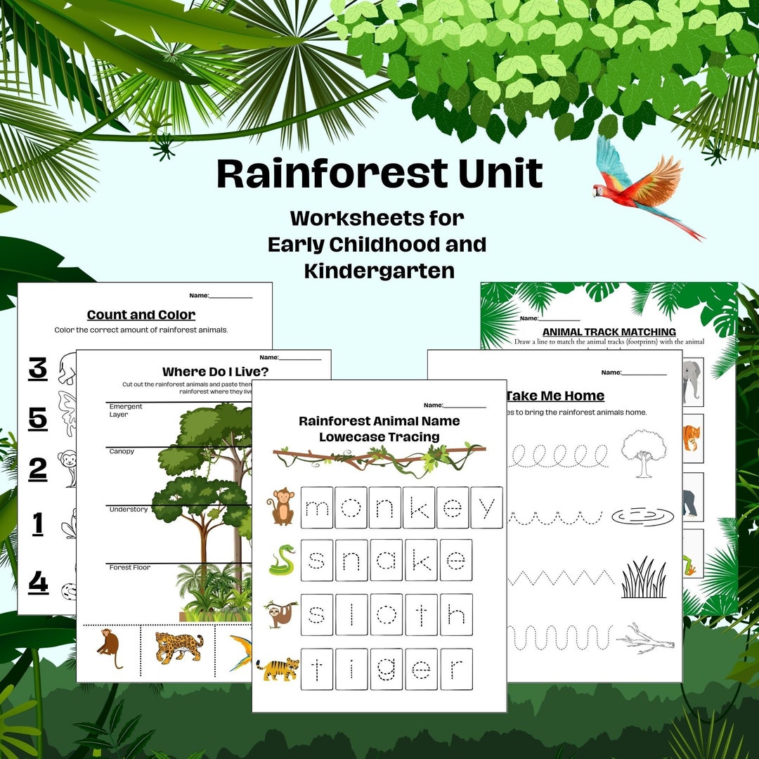 Rainforest Curriculum Printable Worksheets for Preschool, Prek ...
