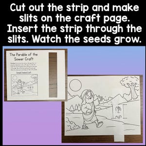The Parable of the Sower Craft {color and B/W} Sunday School Lesson ...