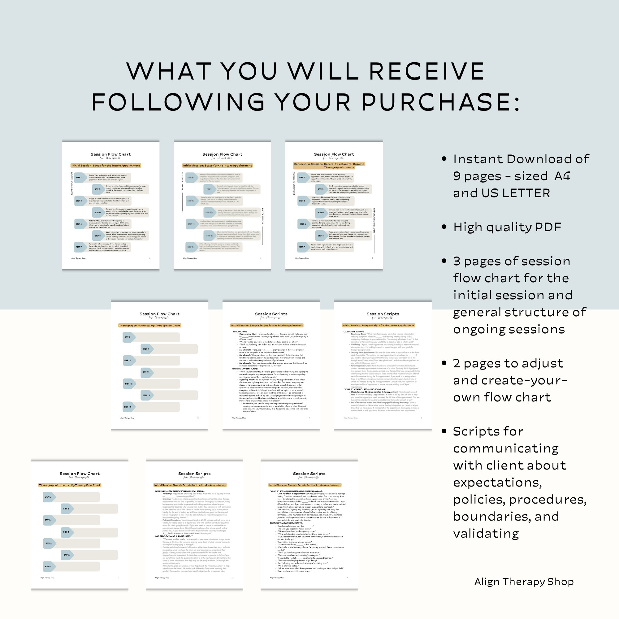 Therapy Session Flow Chart for Therapists, Social Workers, Practicum ...