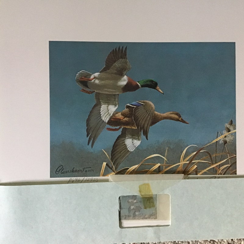Duck Stamp Frame - Etsy