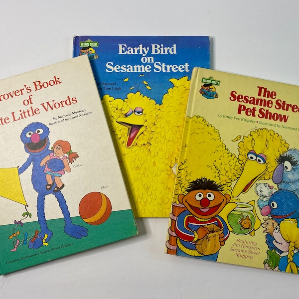 Big Bird Busy Book - Etsy