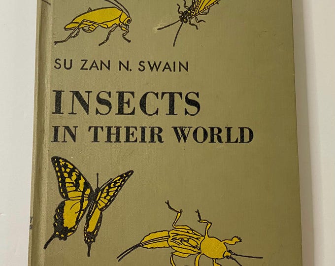 Vintage Insects in Their World Book 1955 Vintage Illustrations ...
