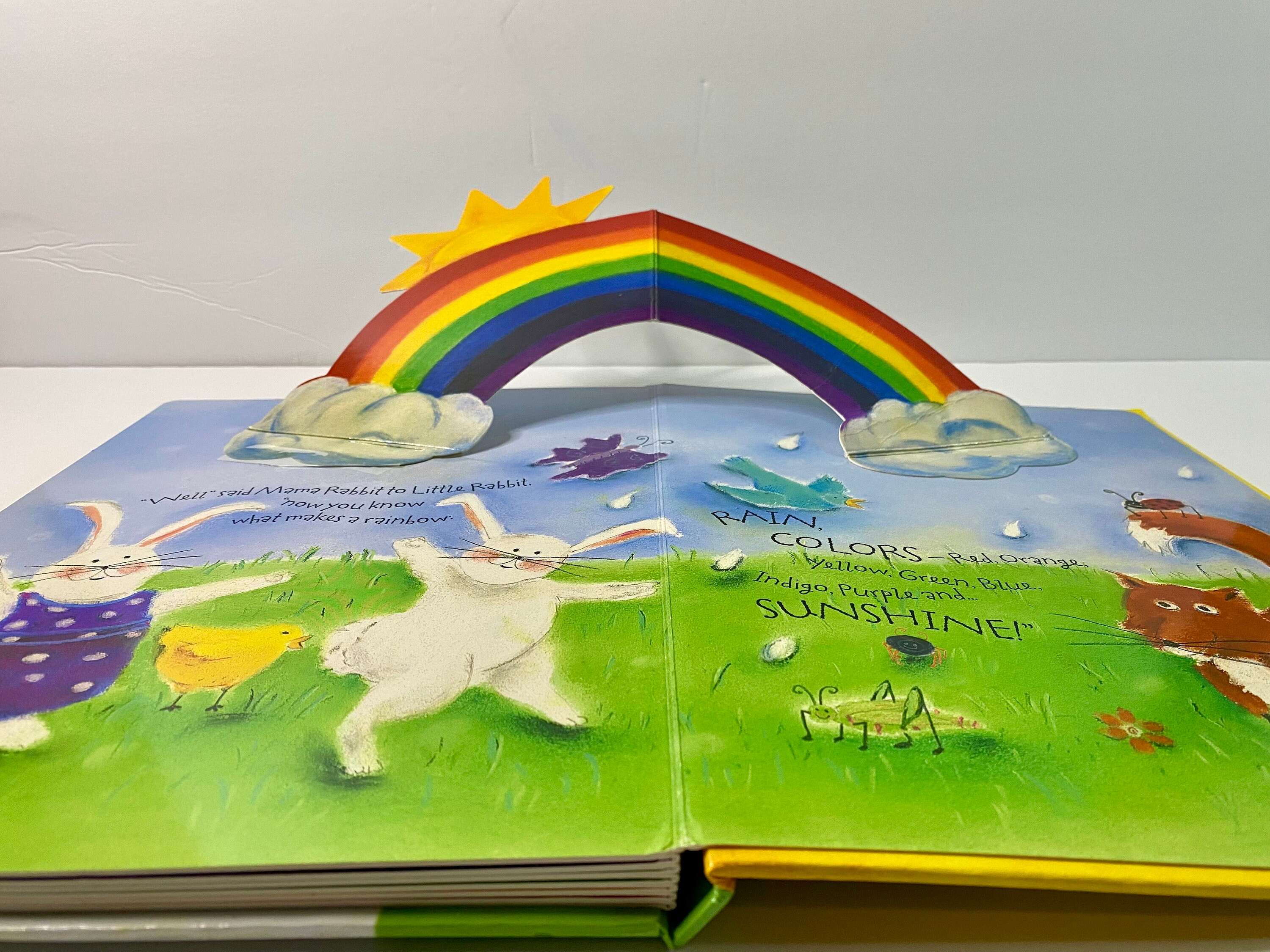 Vintage What Makes a Rainbow Book Betty Ann Schwartz Interactive Board ...
