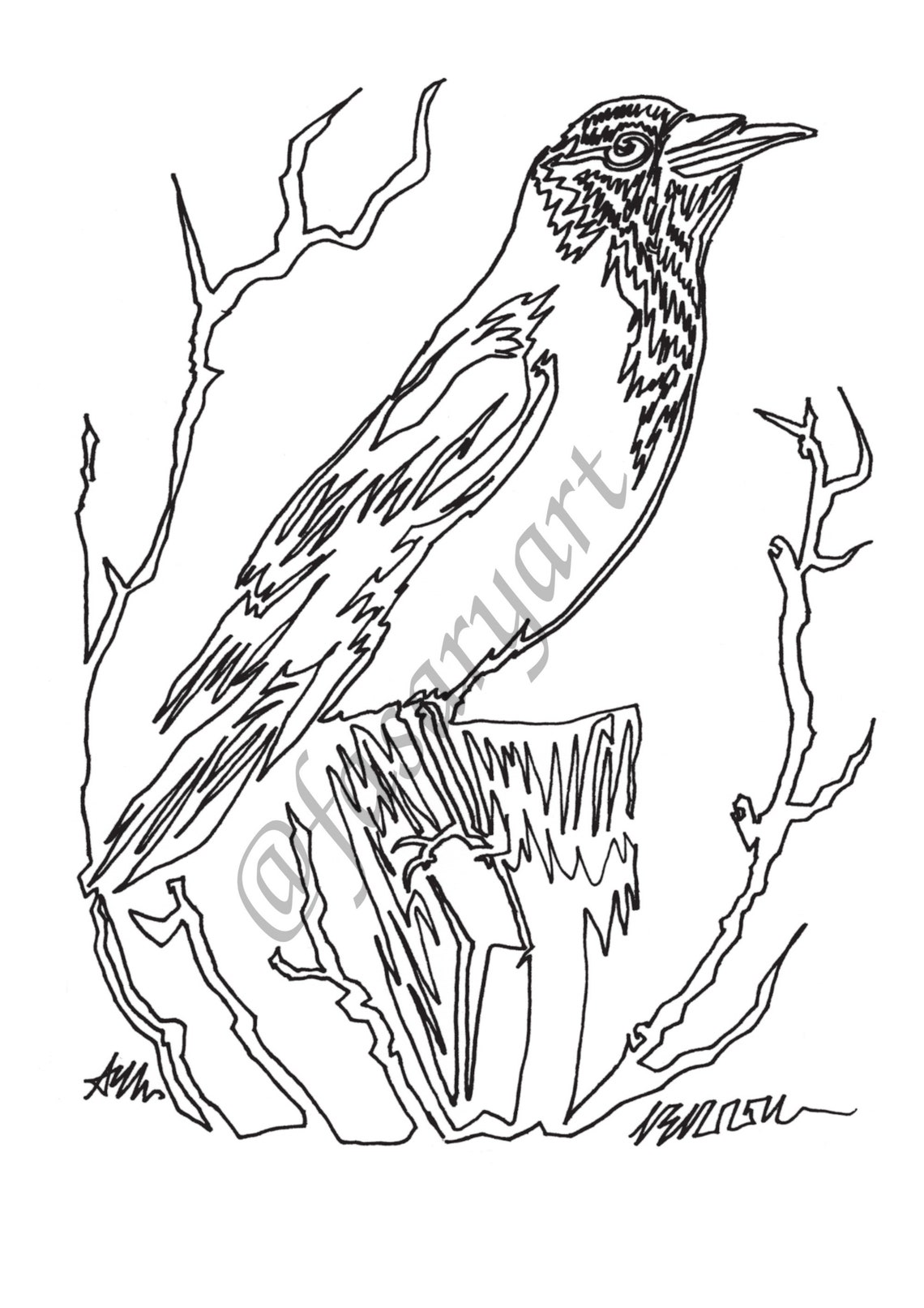 Crow Drawing Single Line, Crow Printable Wall Art Decor #1 - Etsy