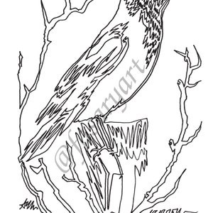 Crow Drawing Single Line, Crow Printable Wall Art Decor #1 - Etsy