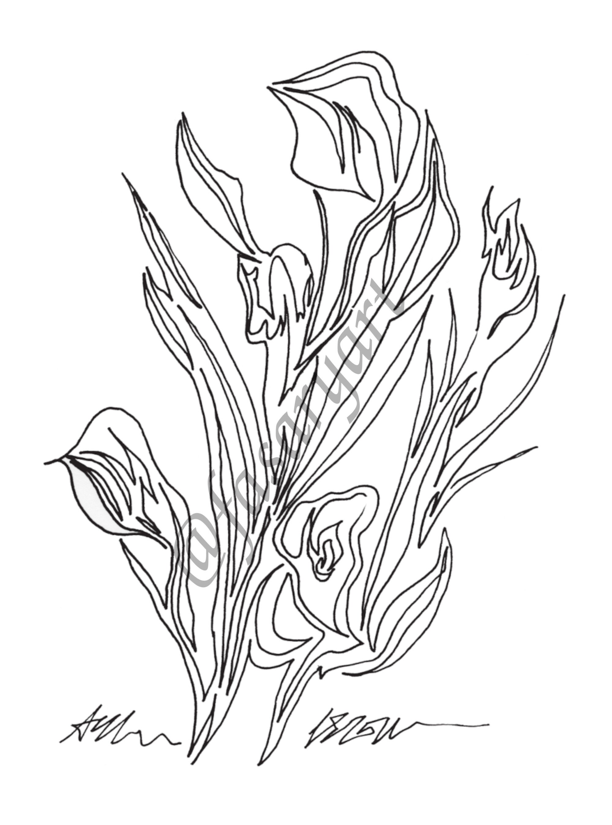 Calla Lilies Single Line Drawing, Flower Printable Wall Decor #2 - Etsy