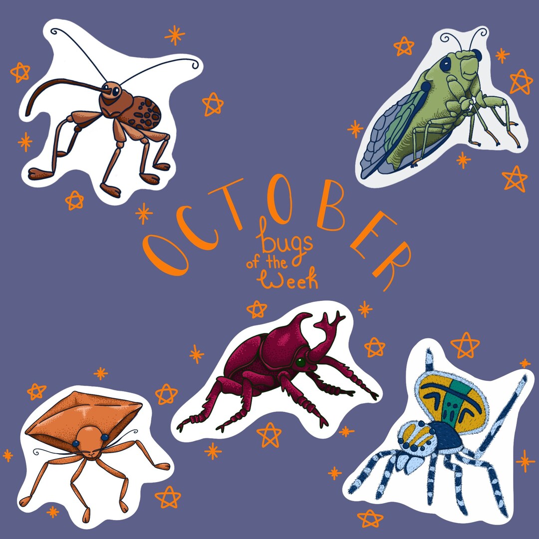 Vinyl Sticker, Waterproof Scratch Resistant, Original Bug and Insect ...