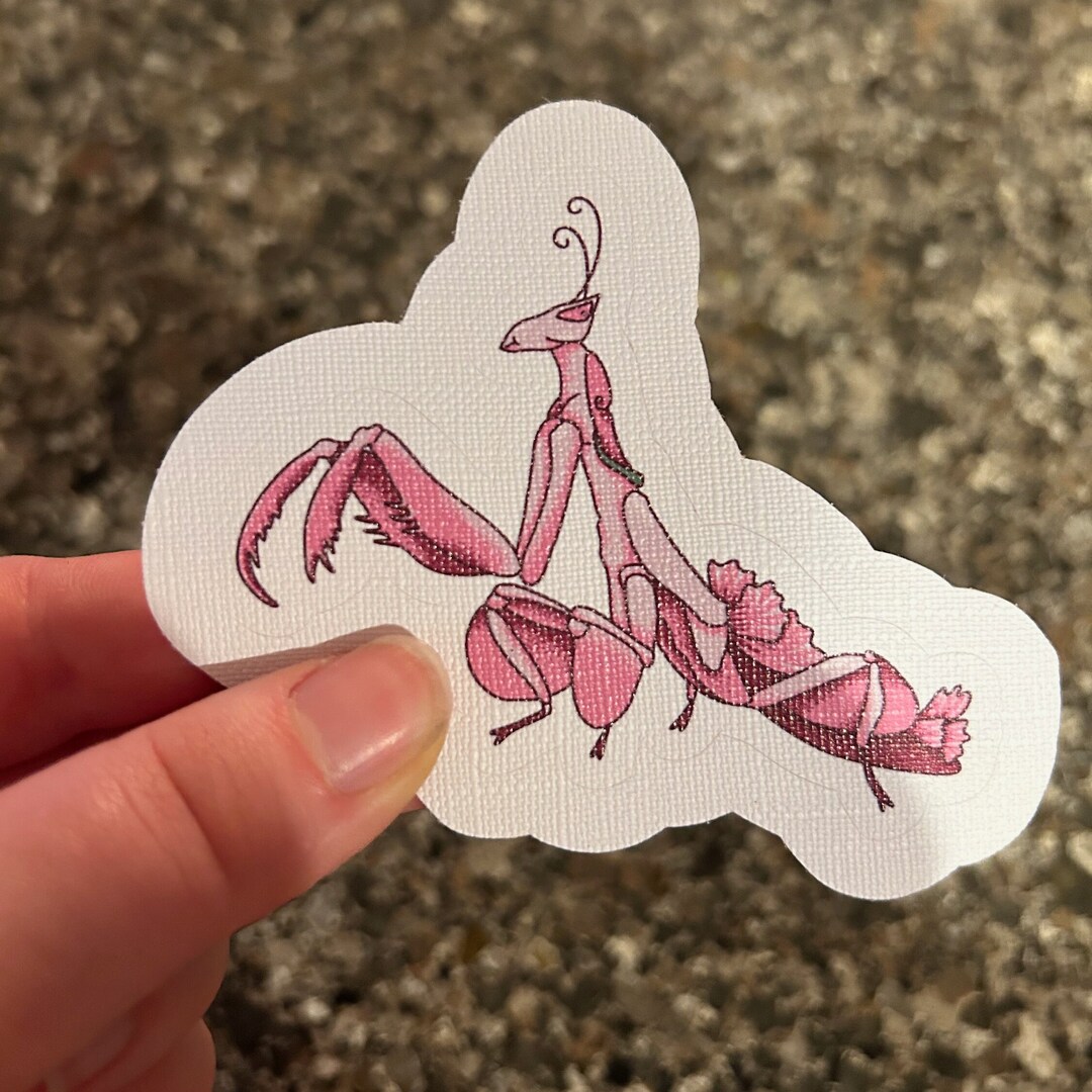 Vinyl Sticker, Waterproof, Scratch Resistant, Original Bug and Insect ...
