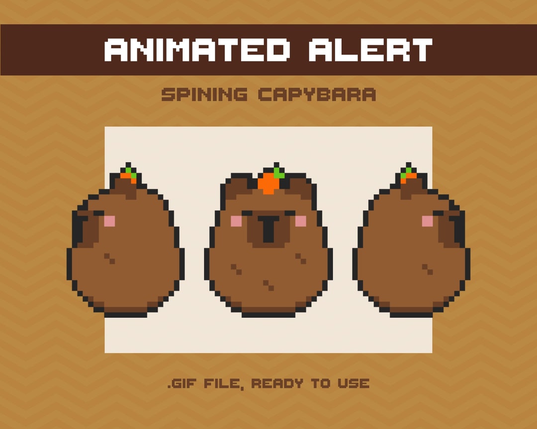 Animated Pixel Spinning Capybara Twitch Alert Pixel Art Alert for ...