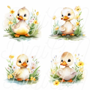 12 Baby Duck in Flower Cliparts, High-quality Jpgs Watercolor Animal ...