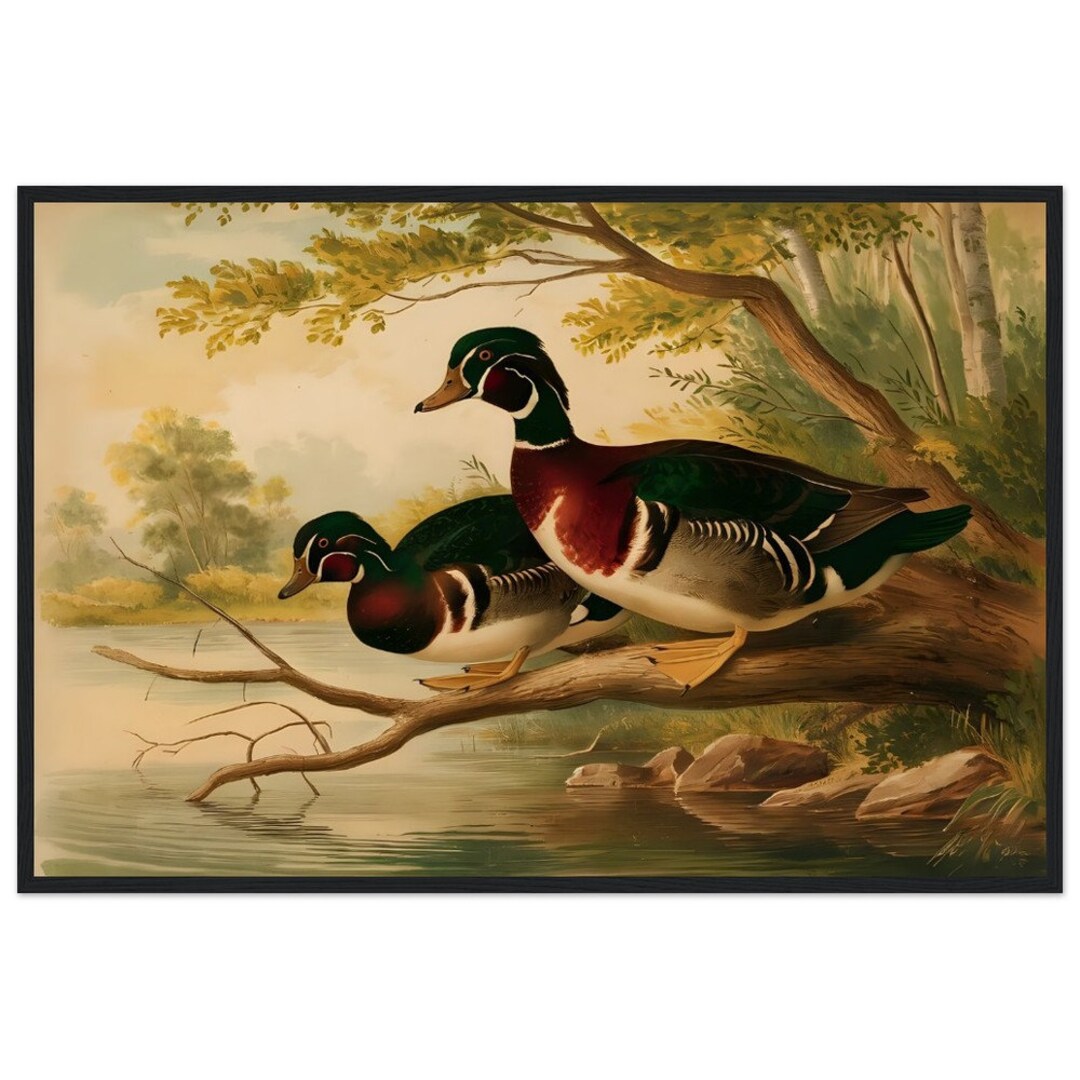 Duck Wall Art Vintage Animals wood Duck Drakes Premium Matte Paper ...