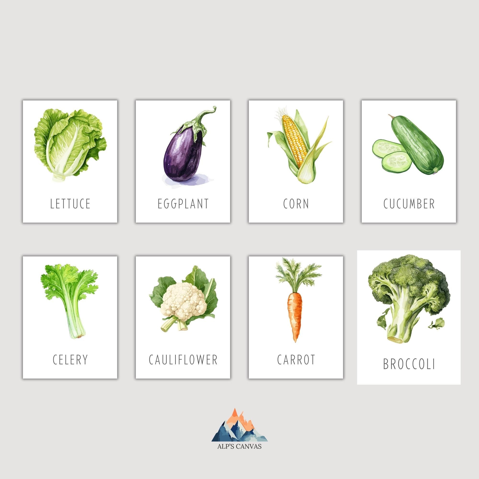 Vegetables Flashcards for Kids, Montessori Toddler, Learning Materials ...