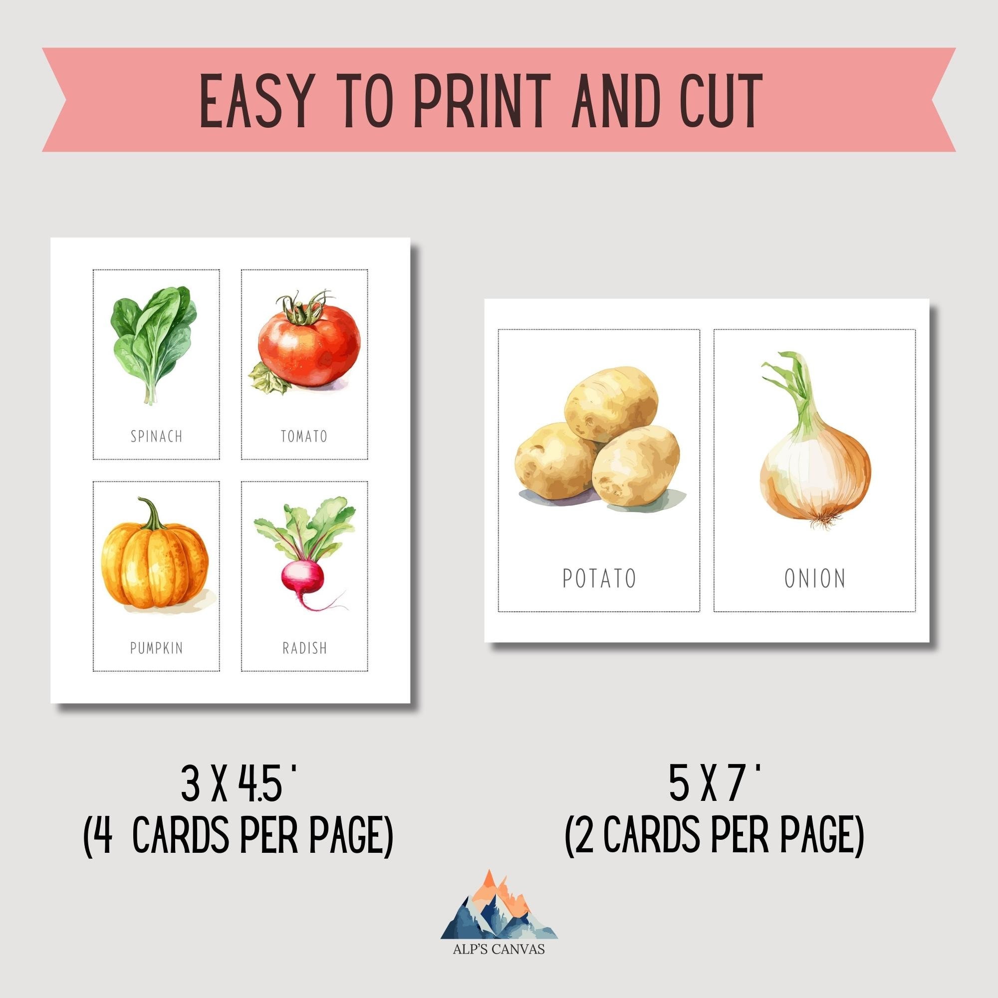 Vegetables Flashcards for Kids, Montessori Toddler, Learning Materials ...