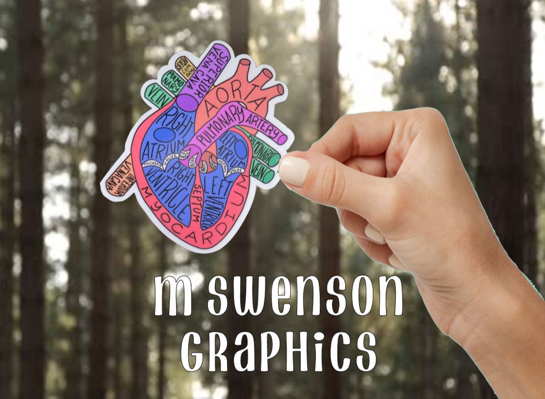 Cardiac Sticker Cardiac Decal Cardiac Mri Sticker Mri - Etsy