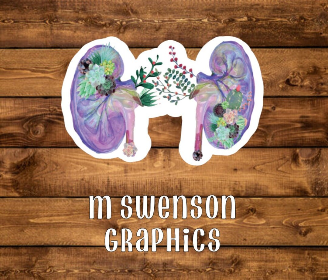 Anatomical Kidney Flower Sticker, Anatomical Kidney Flower Decal ...