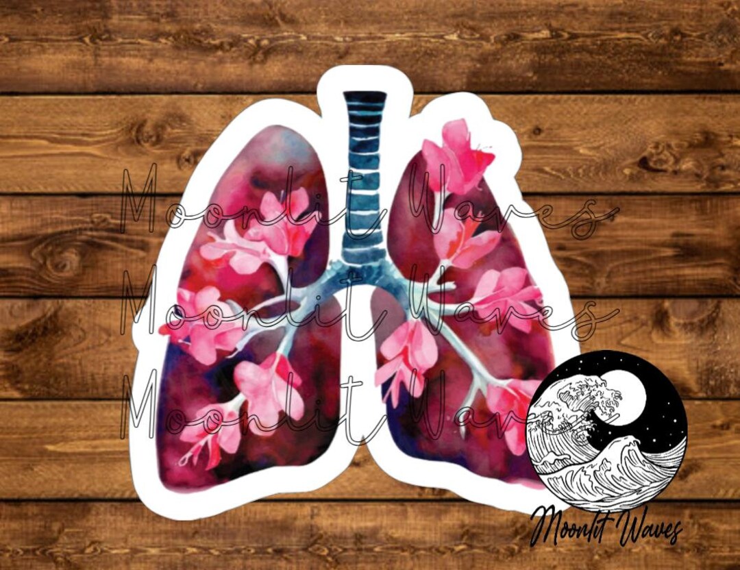 Anatomical Lung Flower Sticker, Anatomical Lung Flower Decal, Pulmonary ...