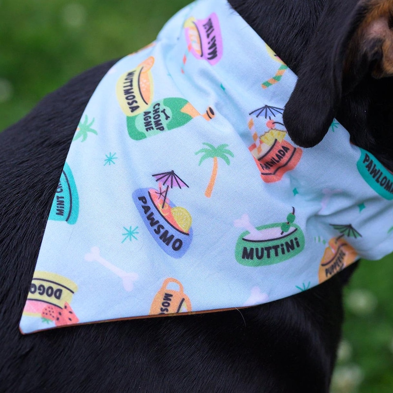 Mimosa Dog - Etsy