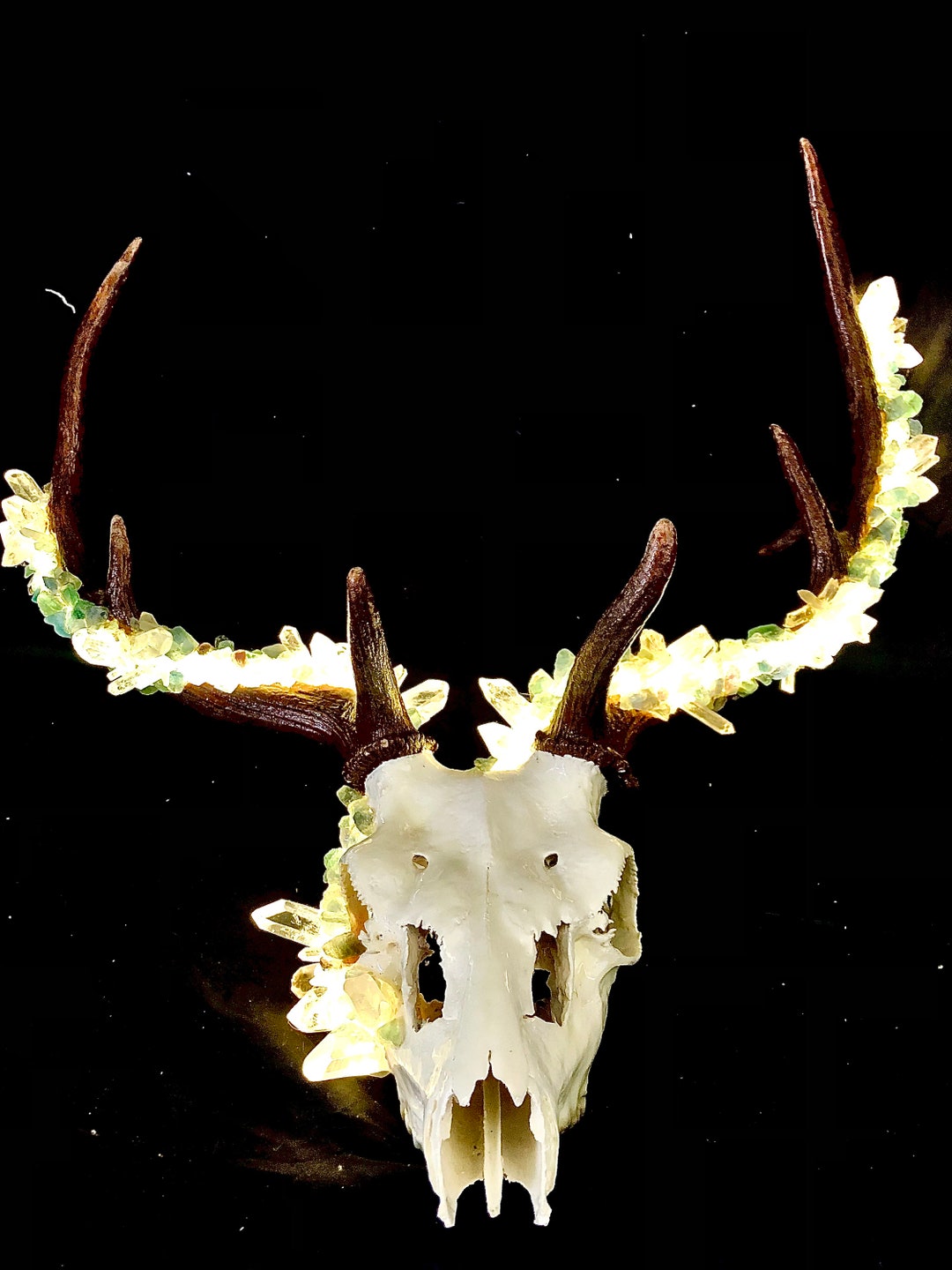 Crystal Deer Skull Lamp - Etsy