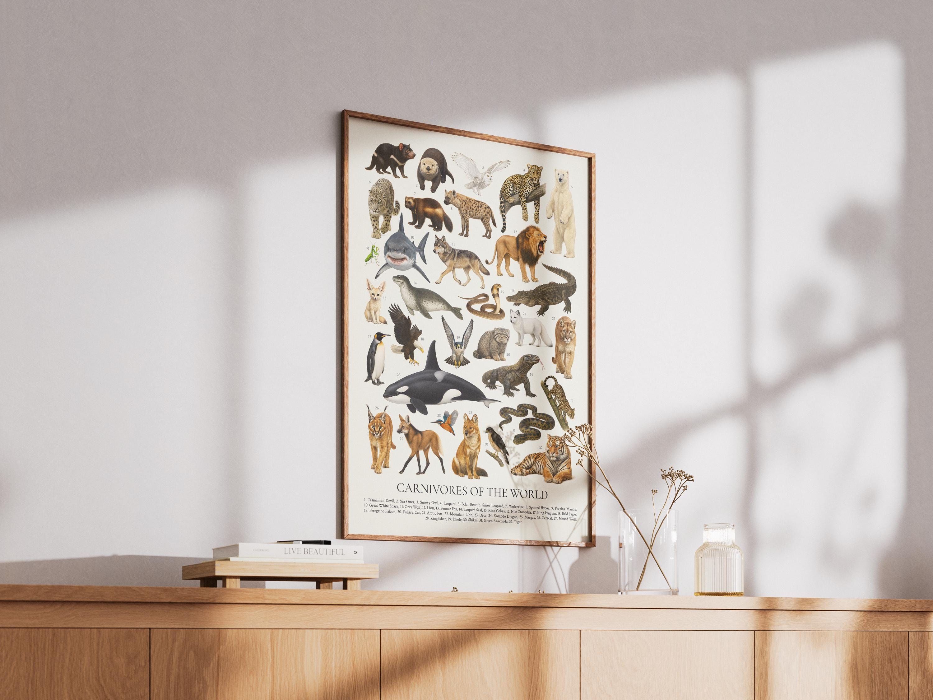 Carnivores of the World Poster: Retro Animal Illustration Chart ...