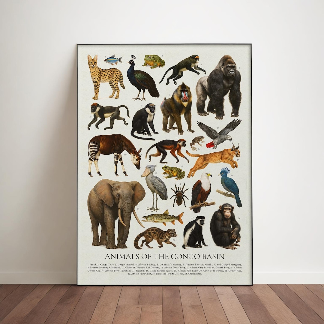 Animals of the Congo Basin Poster: Retro Wildlife Identification Art ...