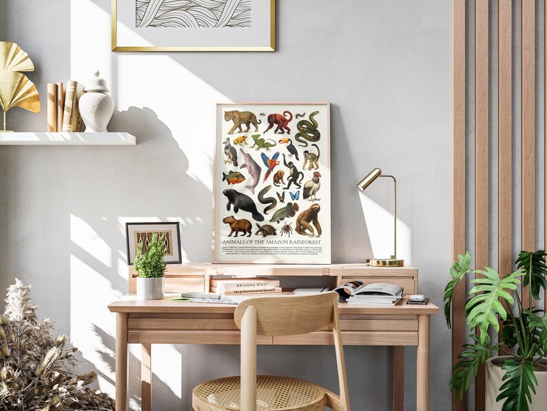 Amazon Rainforest Animals Poster: Retro Educational Print - Etsy