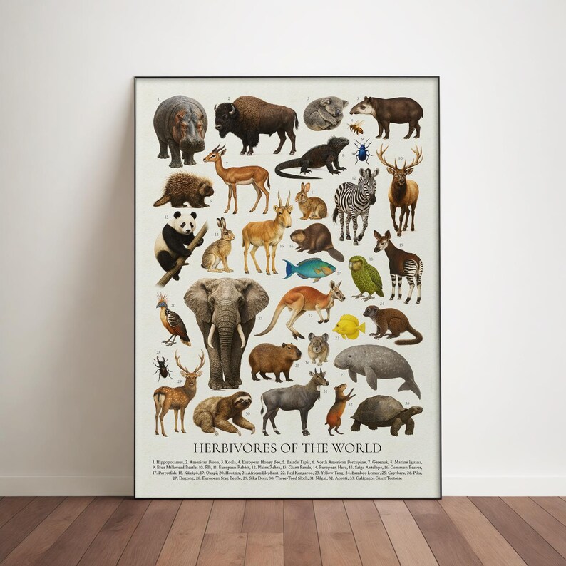 Herbivores of the World Poster: Retro Animal Illustration Chart ...