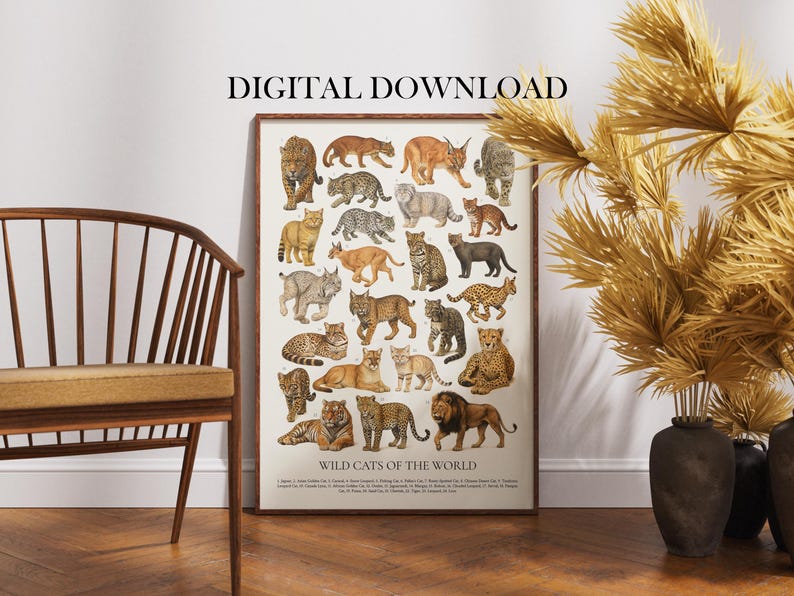 Wild Cats Poster Digital Download: Retro Animal Illustration Chart - Etsy