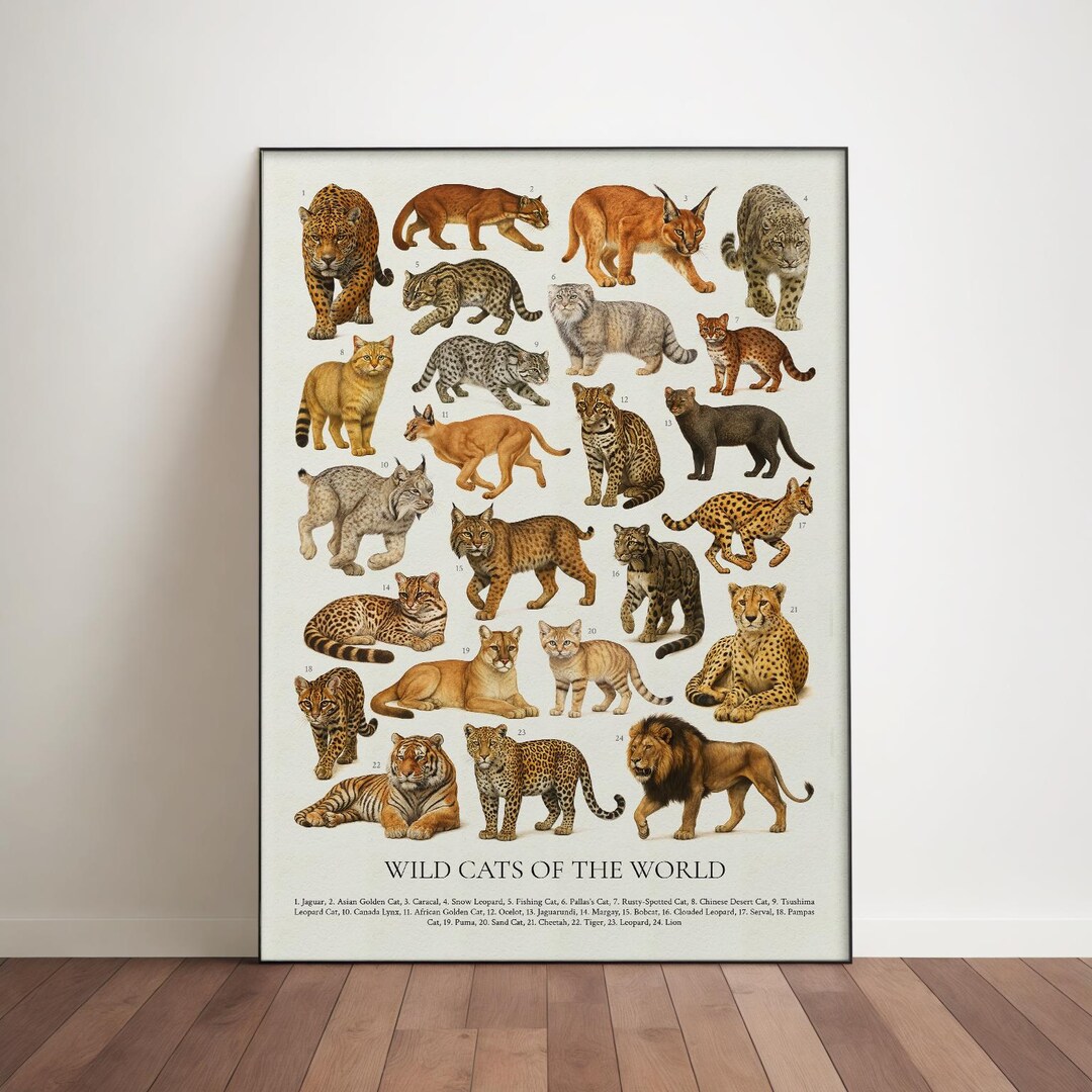 Wild Cats of the World Poster: Retro Animal Illustration Chart ...