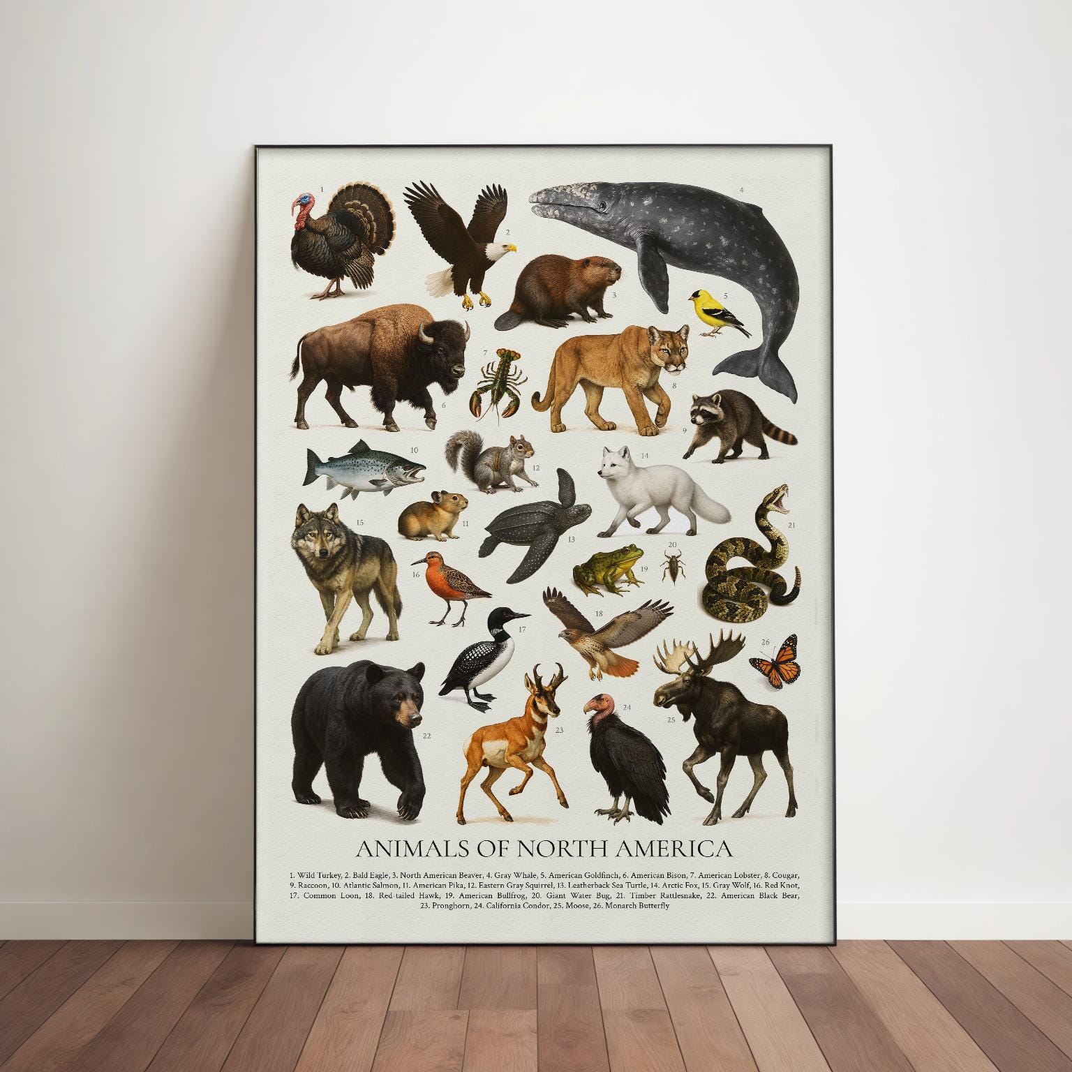 North American Wildlife Poster: Retro Animal Illustration Chart ...