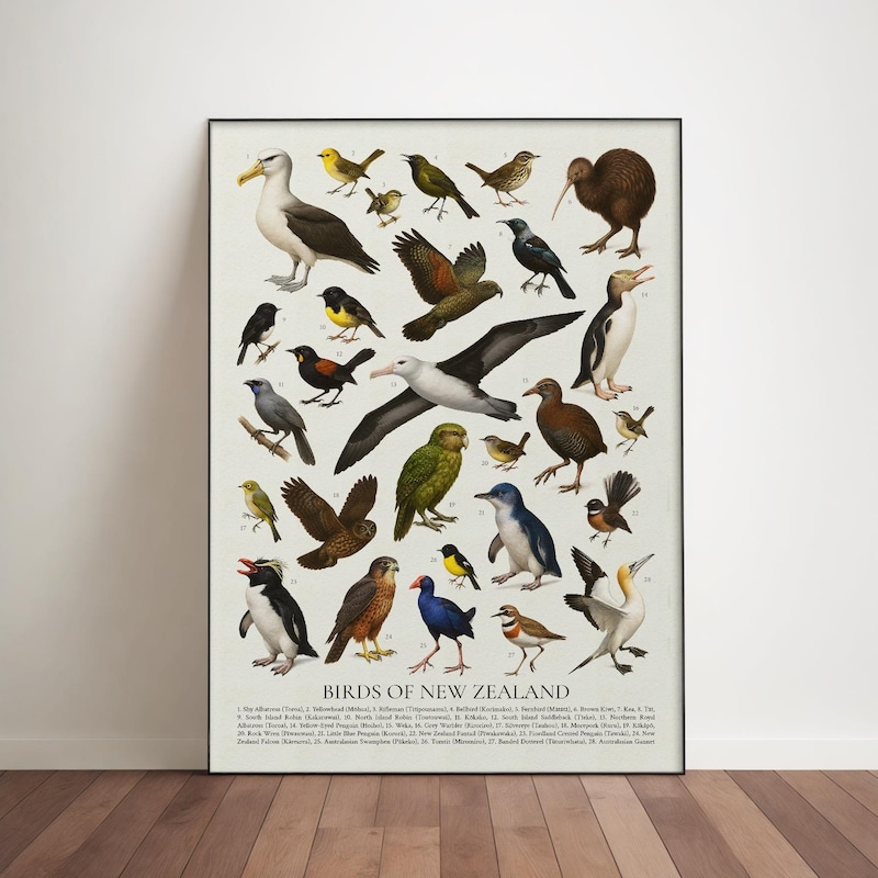 New Zealand - Etsy New Zealand