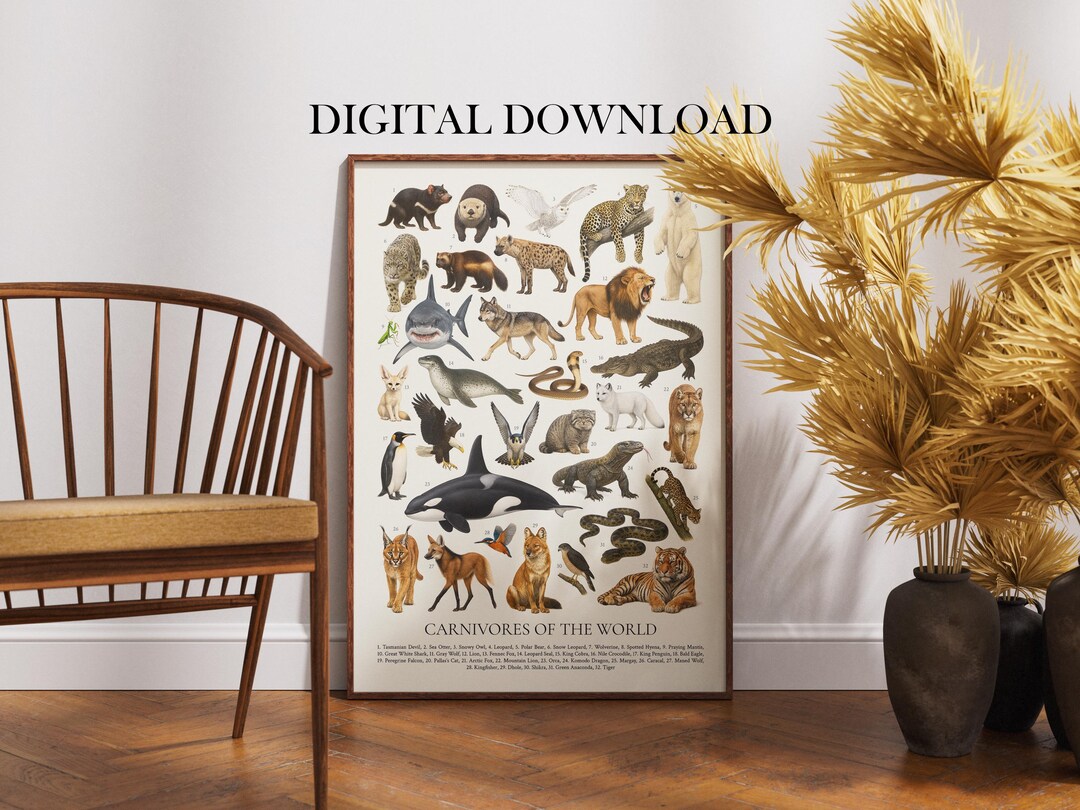 Carnivores of the World Digital Download: Retro Animal Illustration ...