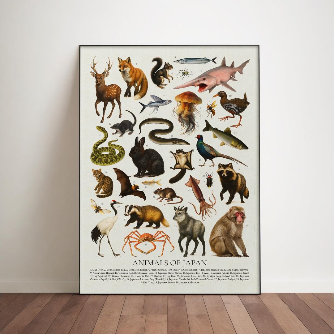 Animals of Japan Poster: Educational Animal Wildlife Art Print - Etsy
