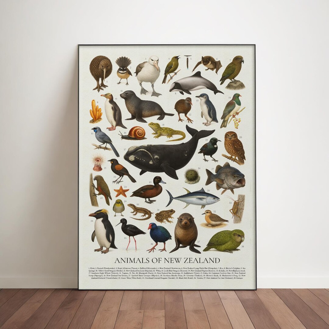 Animals of New Zealand Poster: Retro Illustration Poster - Etsy