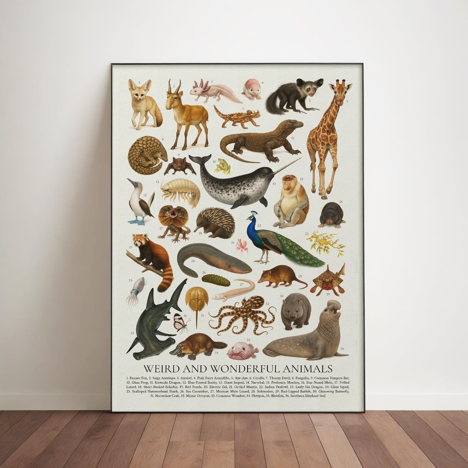 Weird and Wonderful Animals Poster: Retro Style Wildlife Art Print - Etsy
